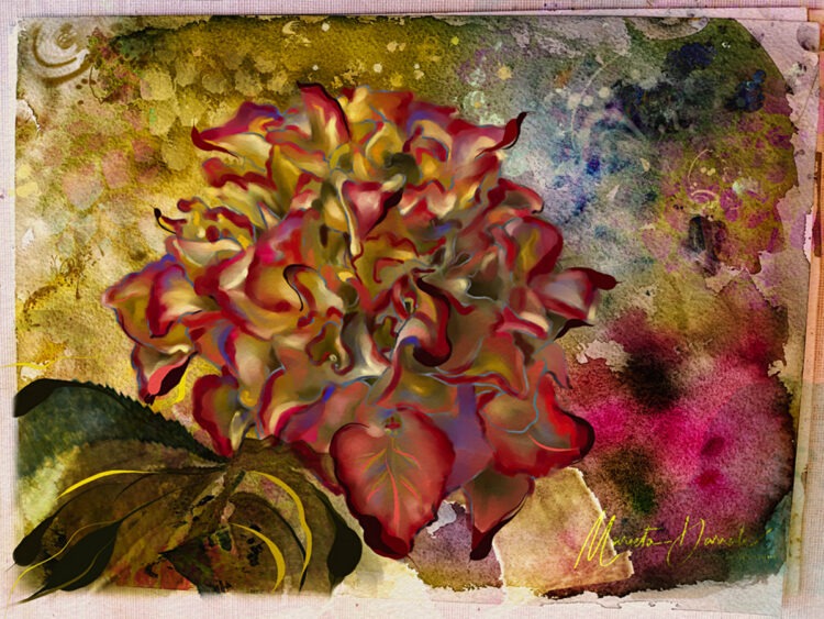 Abstract Hydrangea – Illuminart Designs